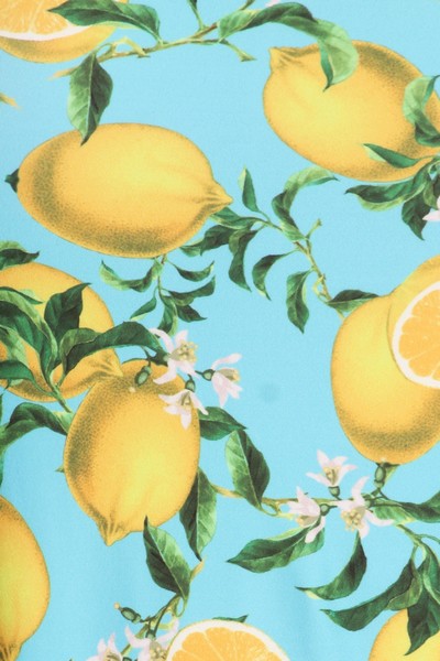 **NY ONLY**Women's Blue Lemon Print Fit And Flare Dress - Wholesale ...